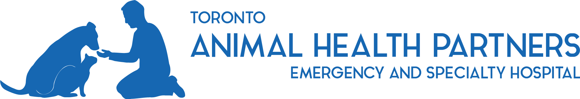 Home - Canary District Animal Hospital